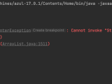 Fix Java Exception With Lambda Cannot Invoke Because Object Is Null